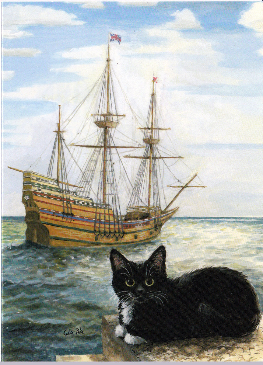 Ship's Cats Print Felix of Mayflower II – Old Royal Naval College Shop